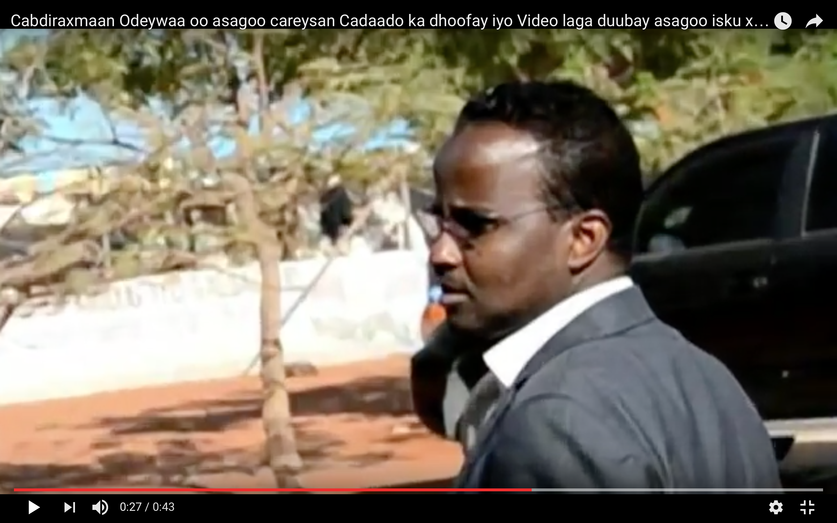 Somalia:Minister Odowa insults Hawadle tribe on Facebook post